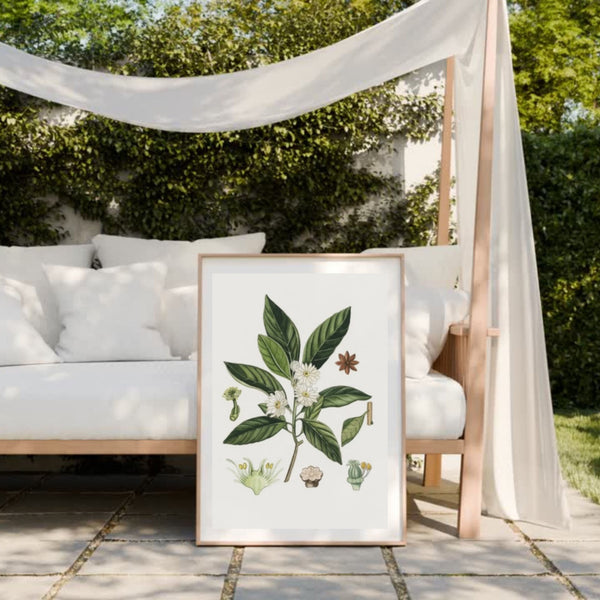 Cindy Pretorius | Fabulous Fine Art Prints and Frames